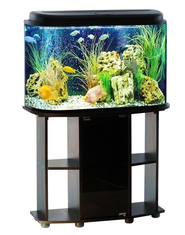 Sanayi kuruluşu Goldfish, Tolyatti (Togliatti), foto