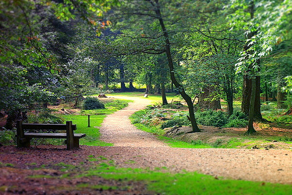 Kültür ve eğlence parkları Куркинский парк культуры и отдыха, Tulskaya oblastı, foto