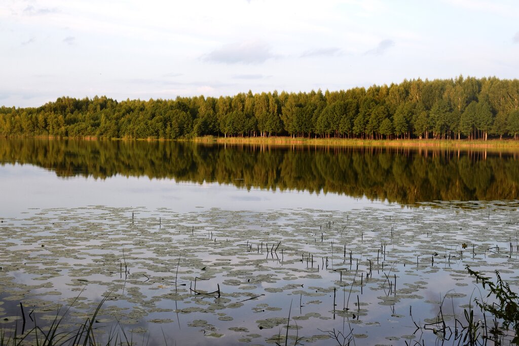 Geziler Prirodny park Voskresenskoye Povetluzhye, Nijegorodskaya oblastı, foto