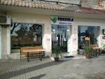 Rukkola (Taras Shevchenko Street No:8), kafe  Taşkent'ten