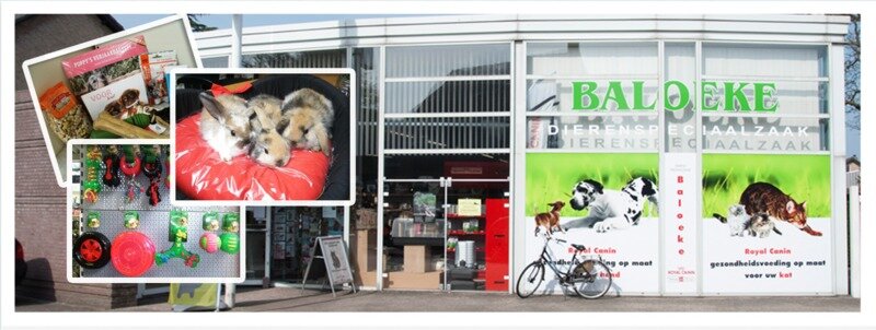 Petshop Baloeke Pets EN Co, , foto