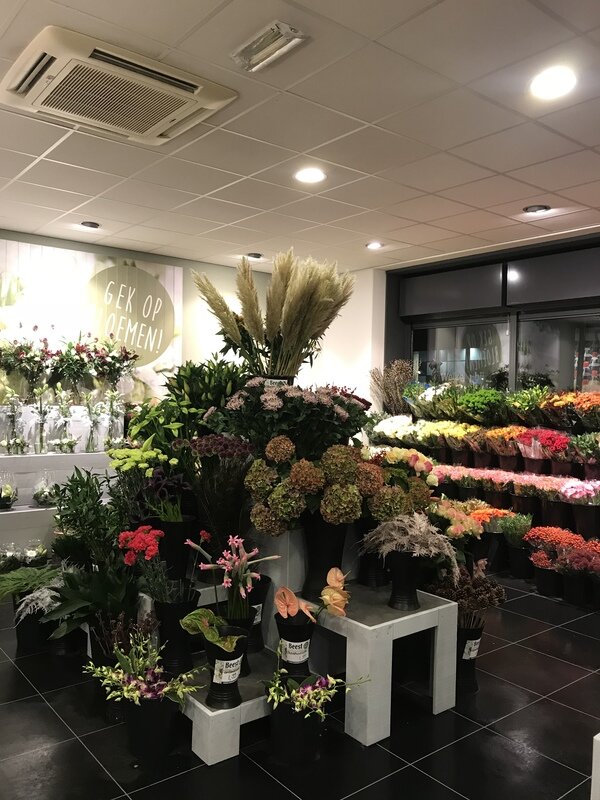 Çiçek teslimatı Van Beest Bloemen EN Planten, , foto