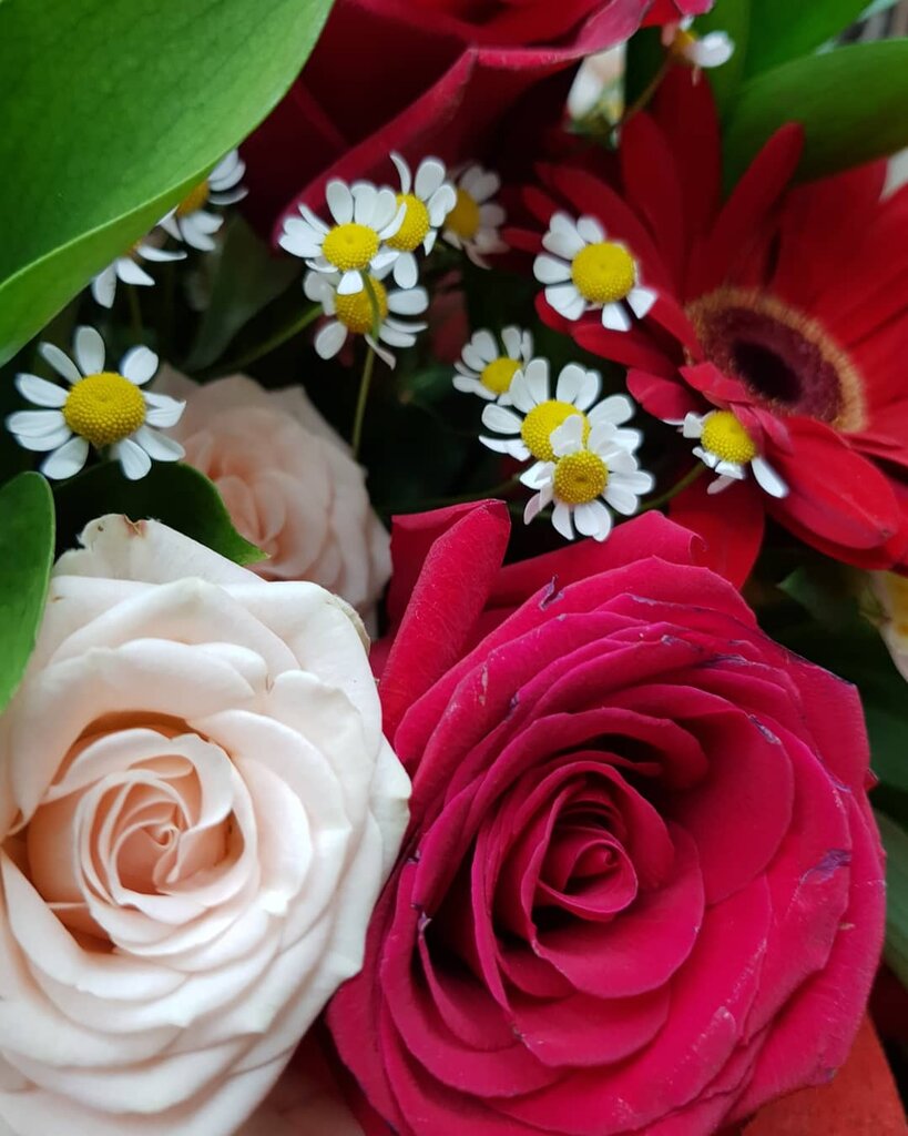 Çiçekçiler Florians, Moskova, foto