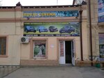 Royal Cinema (Mahmud al-Kashgari Street No:87, Samarkand), şehiriçi yolcu taşımacılığı  Semerkant'tan