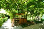 Lastochka (Речная улица No:24, село Песчаное), konuk evi  Kırım Cumhuriyeti'nden