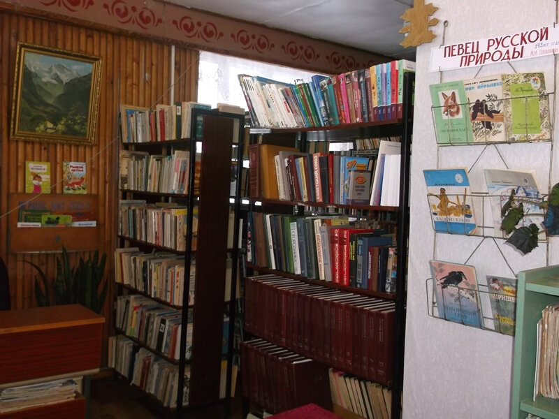 Kütüphaneler Григоровская сельская библиотека, Kostromskaya oblastı, foto