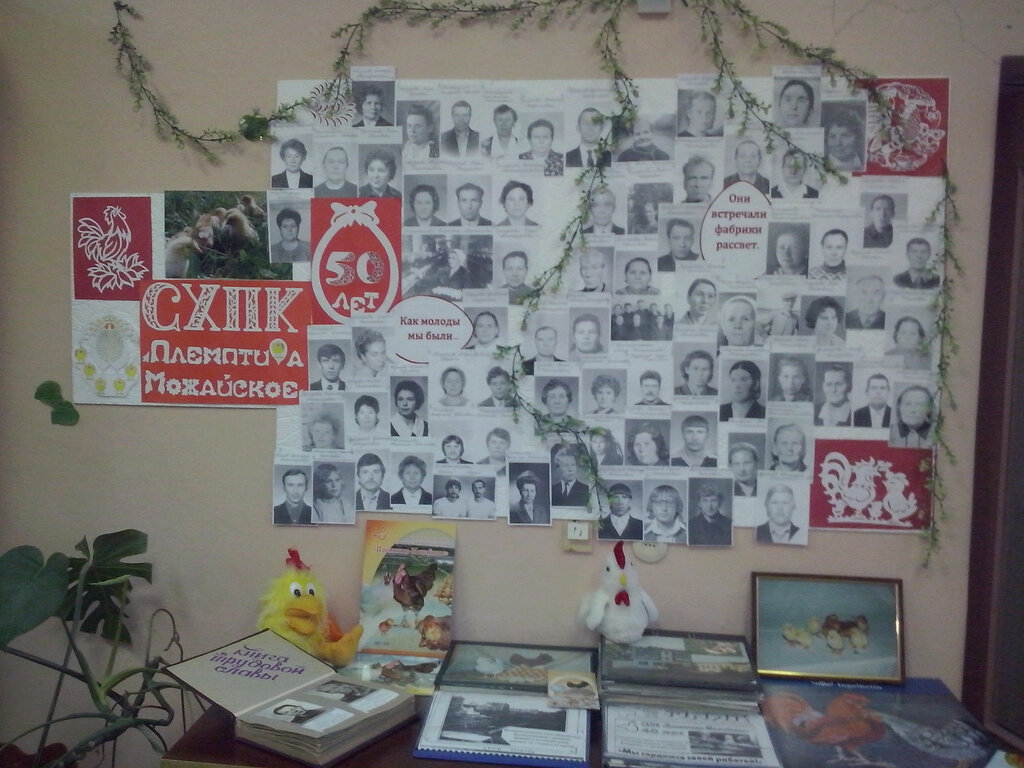 Kütüphaneler Можайский библиотечный сельский филиал, Vologodskaya oblastı, foto