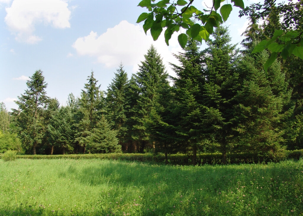 Doğa koruma alanı Заповедник Белогорье, Belgorodskaya oblastı, foto