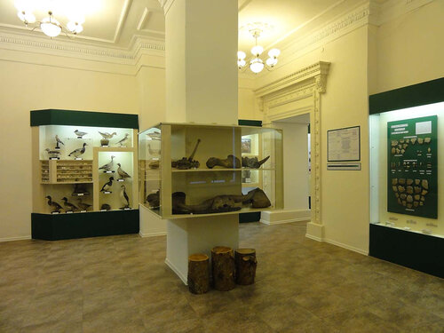 Müzeler ve sanat galerileri Дзержинский городской краеведческий музей, Dzerjinsk, foto