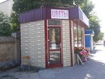 Цветы (улица Карла Либкнехта No:68/2), çiçekçiler  Volgograd'dan