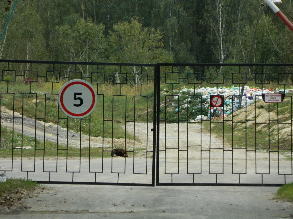 Atık depolama alanı Полигон твердых бытовых отходов, Brianskaya oblastı, foto