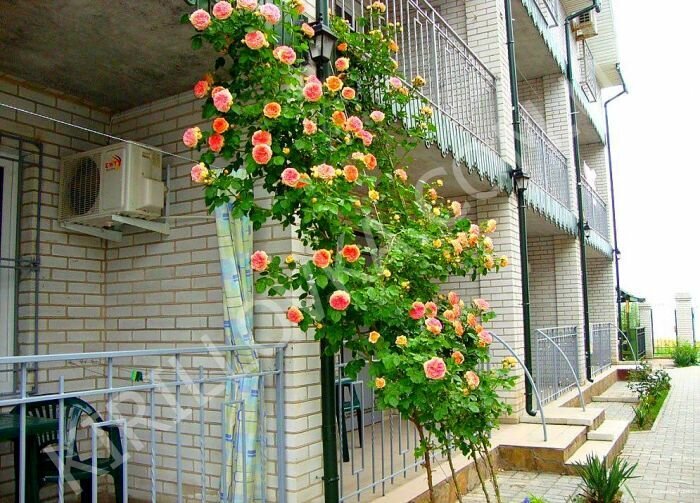 Otel Гостиница Адажио, Zaporoje Bölgesi, foto
