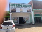 Farmers Animal Feed (Chilimbulu Road No:17782), kanatlı hayvan ürünleri ve yumurta  Lusaka'dan