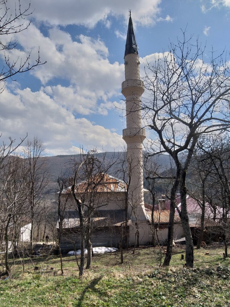 Cami Yaşarlı Köyü Mrk Cami, Bozkurt, foto