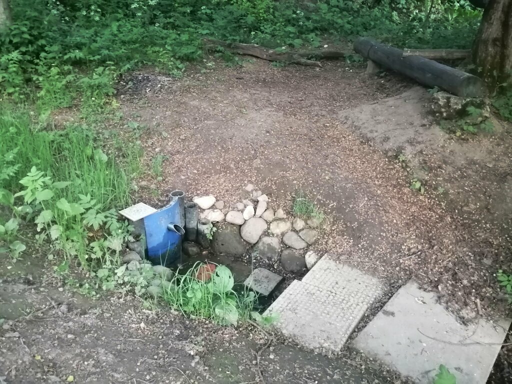 Pınar, çay Spring, stream, Moskova ve Moskovskaya oblastı, foto