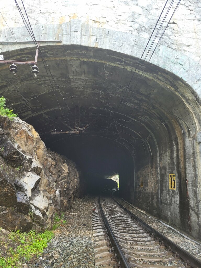 Tren istasyonu остановочный пункт Петухов Лог, , foto