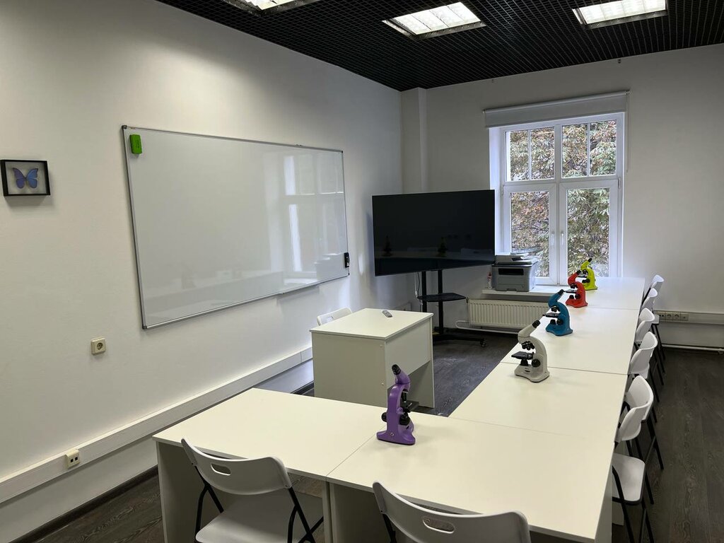 Kurs Maxi School, Moskova, foto