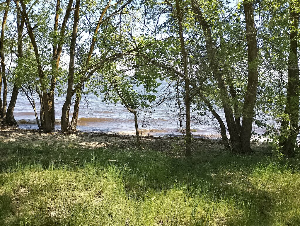 Kamp alanları Место массового отдыха Клинки, Volgogradskaya oblastı, foto