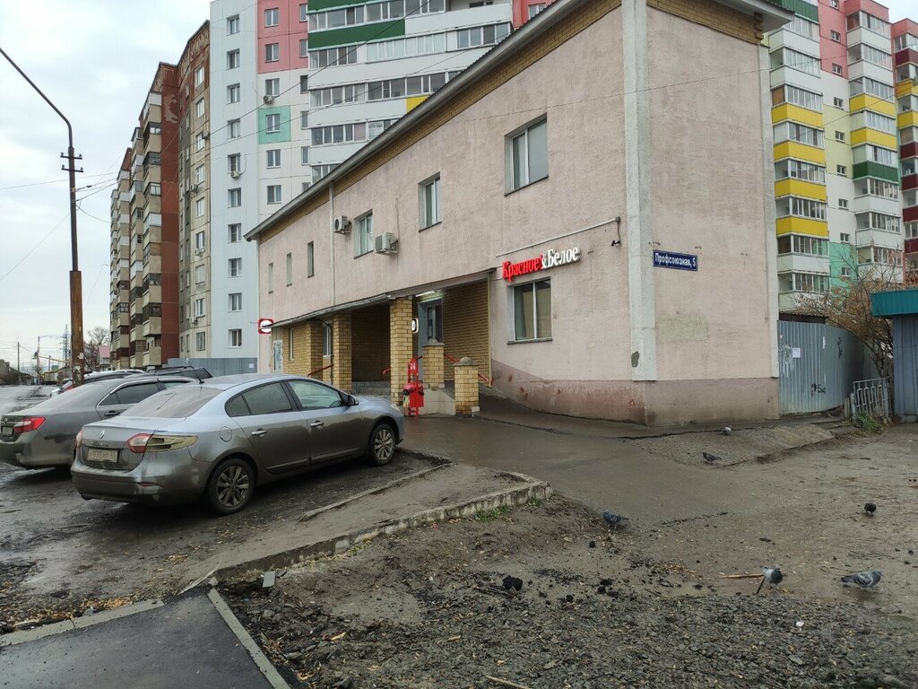 Hayvanat bahçesi merkezi Khendling Zal Kurgan, Kurgan, foto