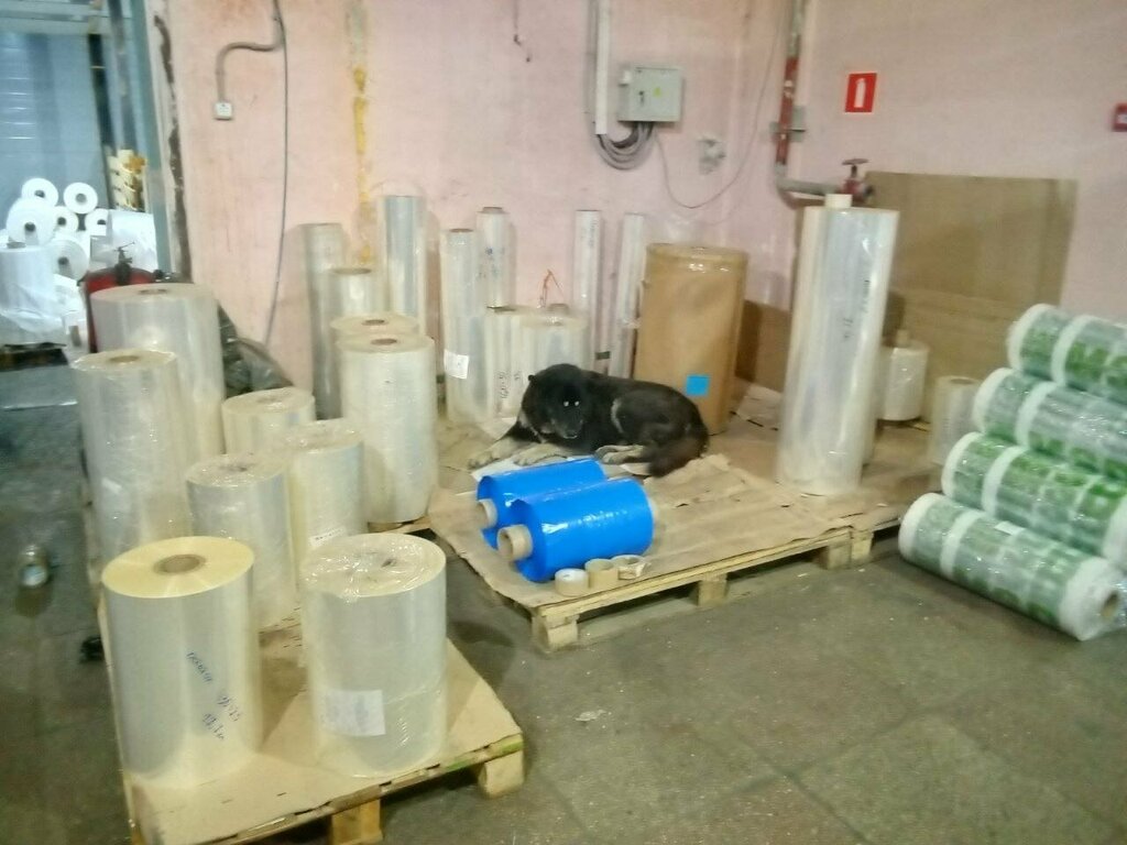 Paketleme malzemeleri firmaları Центр упаковки, Novouralsk, foto