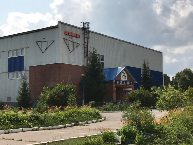 Çok amaçlı spor tesisleri Физкультурно-оздоровительный комплекс Олимп, Başkurdistan, foto