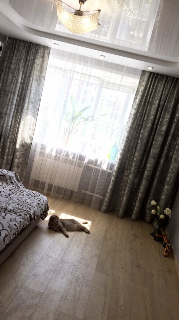 Tavan sistemleri Sky-Art, Lipetsk, foto