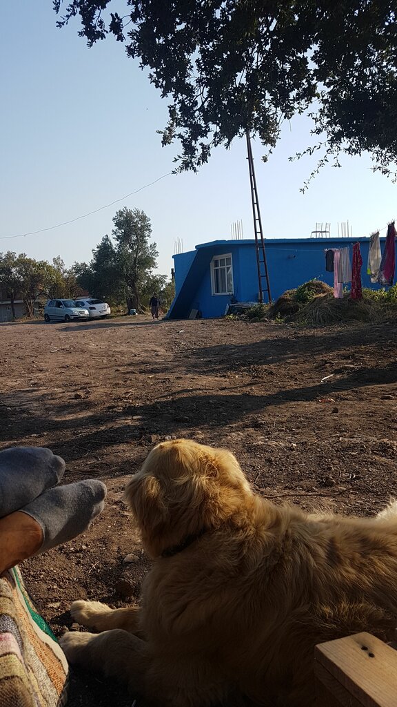 Pansiyonlar, hosteller Sivrice Razaki Apart, Ayvacık, foto