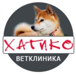 Hatiko (Griboedova Street No:22), veteriner klinikleri  Riazan'dan