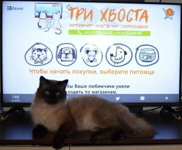 Teslimat noktası Tri hvosta, Minsk, foto