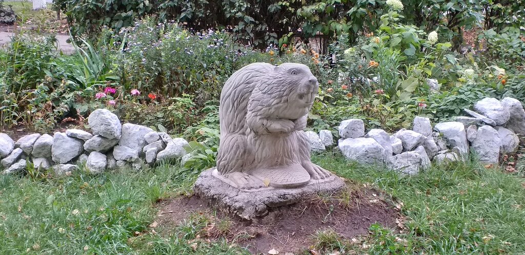 Park, sokak heykeli Бобр, Vladimir, foto