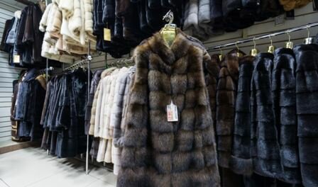 Kürk ve deri giyim mağazaları Дисконт Меха на Садоводе, Moskova, foto