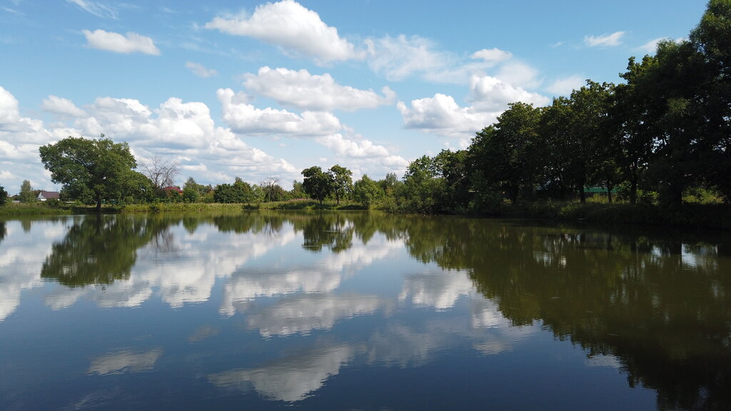 Arazi dizisi Коттеджный поселок Назимиха, Moskova ve Moskovskaya oblastı, foto