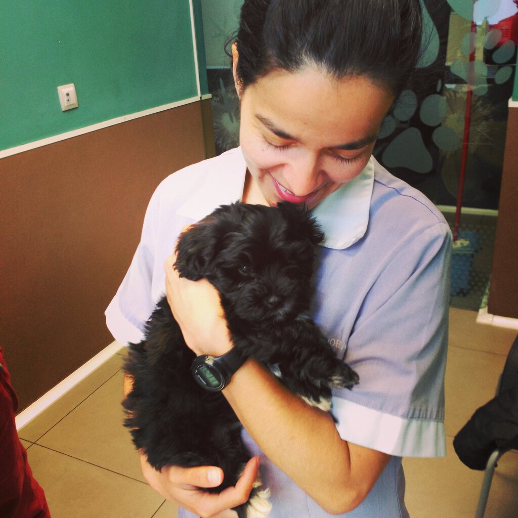 Veteriner klinikleri Bustillo Servicios Veterinarios, Logrono, foto
