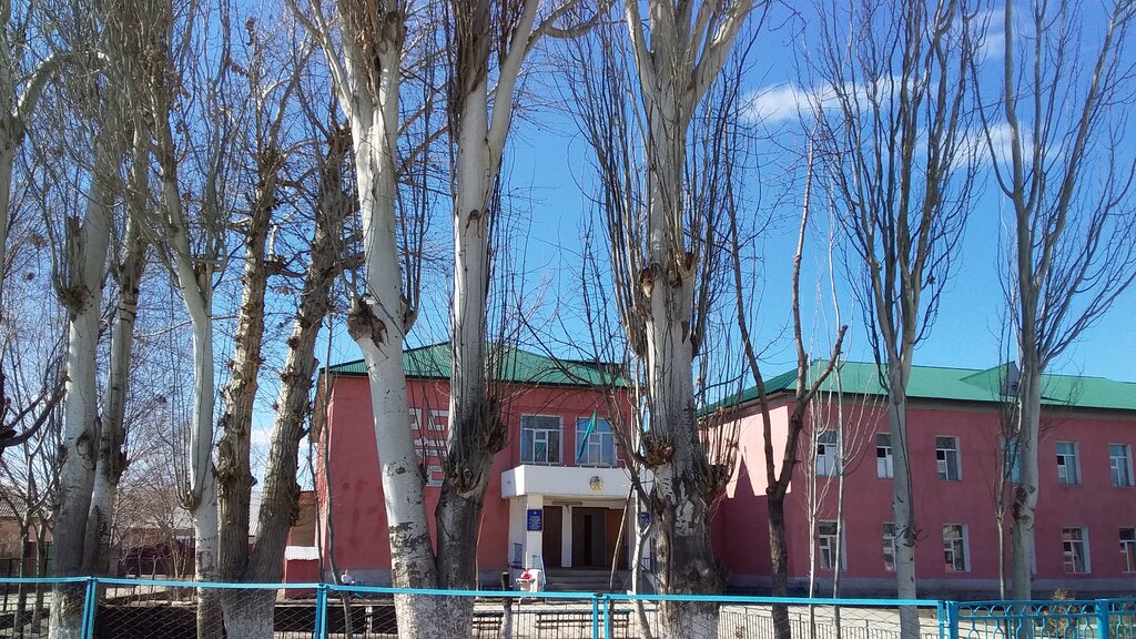 i̇lkokul General Secondary School No. 169 Named After N. Ilyaletdinov, Kızılorda eyaleti, foto
