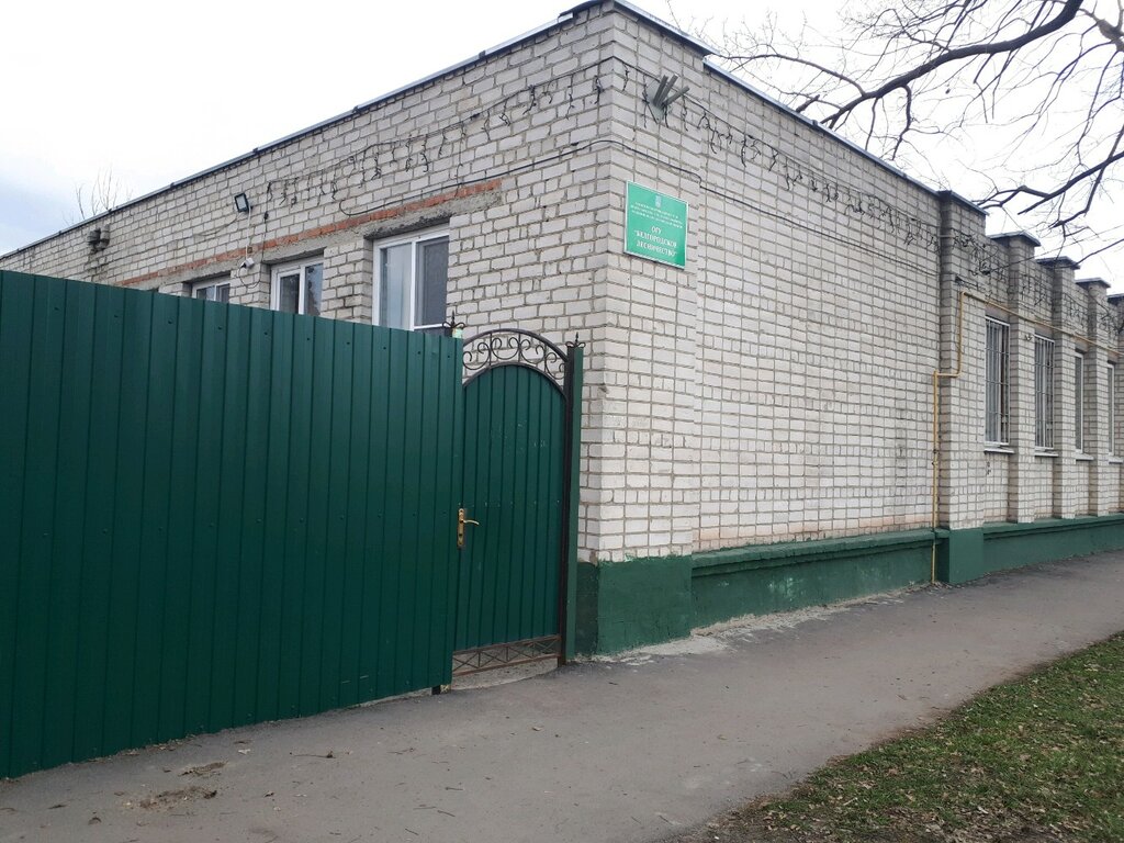 Orman işleri, orman koruma Ogau Belgorodsky lesopitomnik, Belgorod, foto