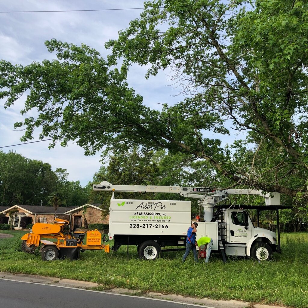Bahçe ekipmanları ve teknolojileri Arbor Pro of Mississippi, Inc, Missisippi Eyaleti, foto