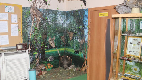 Müzeler ve sanat galerileri Колосовский историко-краеведческий музей, Omskaya oblastı, foto