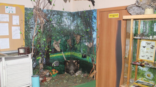 Müzeler ve sanat galerileri Колосовский историко-краеведческий музей, Omskaya oblastı, foto