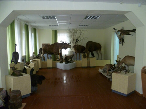 Müzeler ve sanat galerileri Городской музей, Karabaş, foto