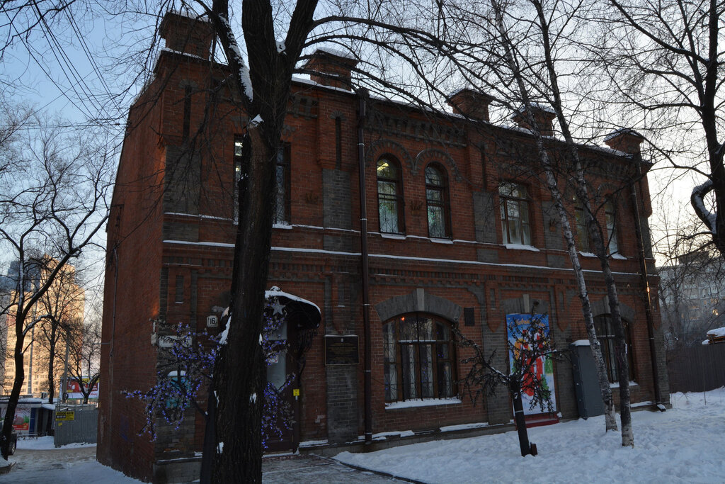 Müzik okulları ve konservatuarlar Topolek Children's Music and Choral School, Habarovsk, foto
