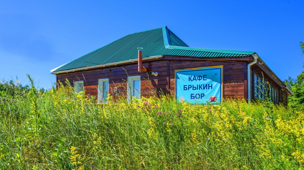 Kafe Brikin Bor, Riazanskaya oblastı, foto