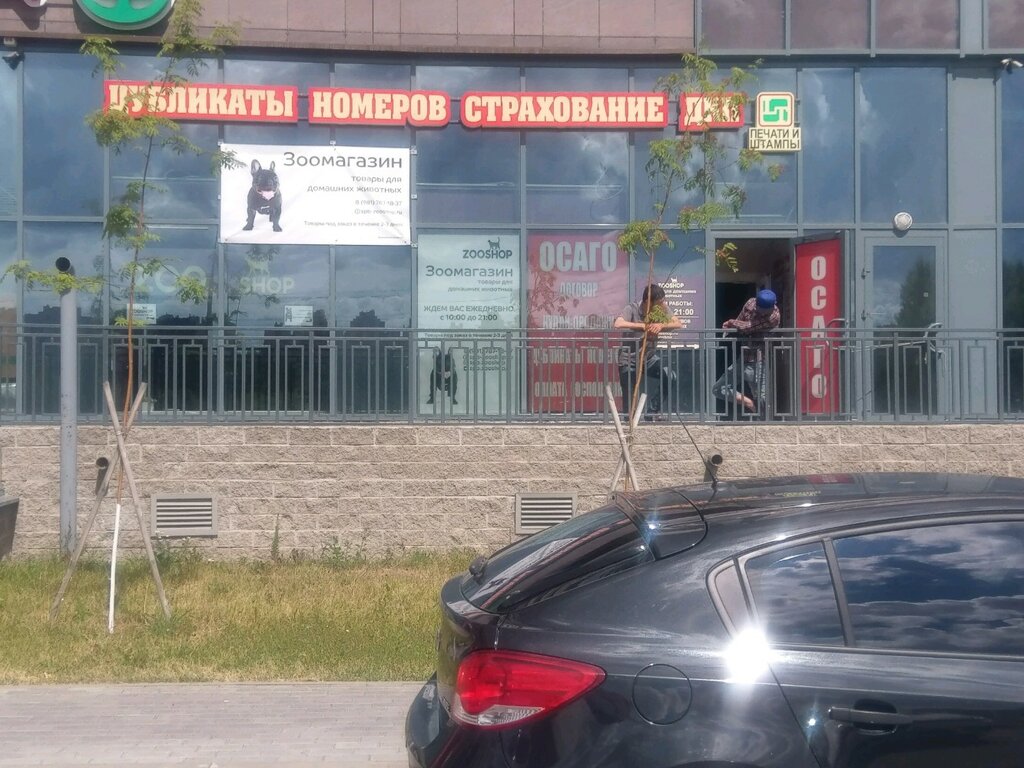 Araç sigorta şirketleri Страхование автомобилей, Saint‑Petersburg, foto