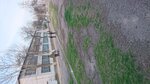 School No. 8 (Halima Xudoyberdiyeva koʻchasi No:12), ortaokul  Gülistan'dan