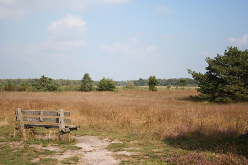 Kamp alanları Bovenberg Camping De, Overijssel, foto