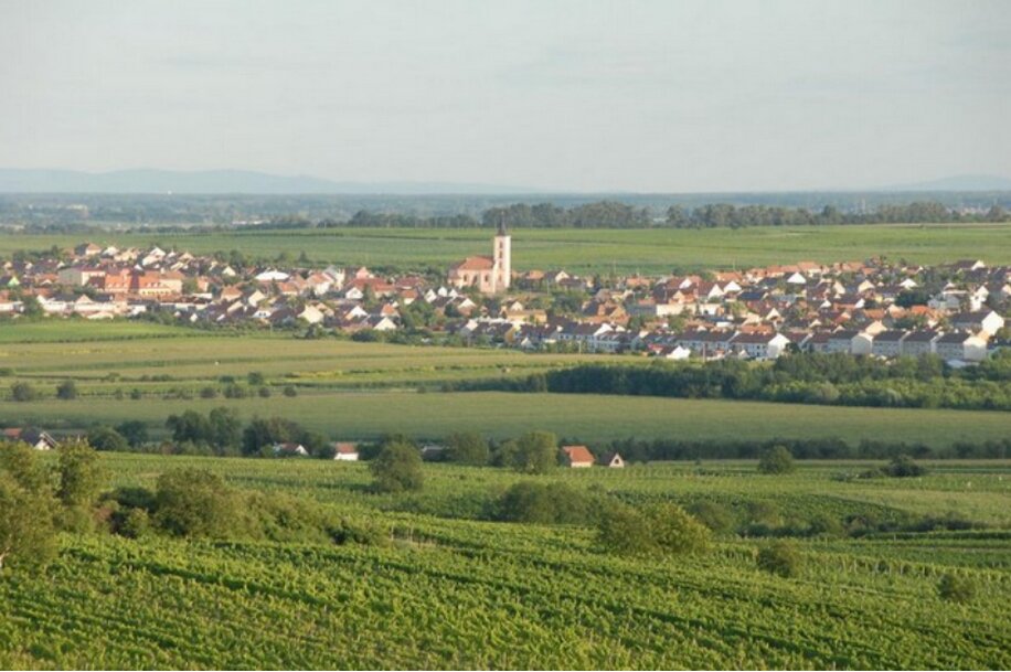 Devlet kurumları ve bakanlıklar Velké Bílovice - městský úřad, Güney Moravya Bölgesi, foto