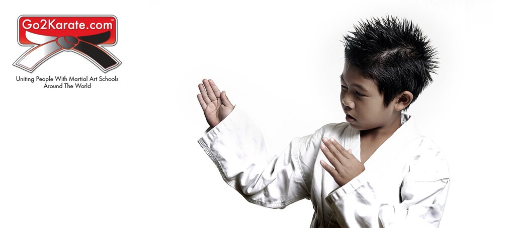 Spor ve eğlence merkezi Go2Karate, Virginia, foto