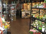Beek Tuincentrum EN Hoveniersbedrijf (Verlengde Schrans No:43, Leeuwarden), sera ve bahçe ürünleri  Leeuwarden'den