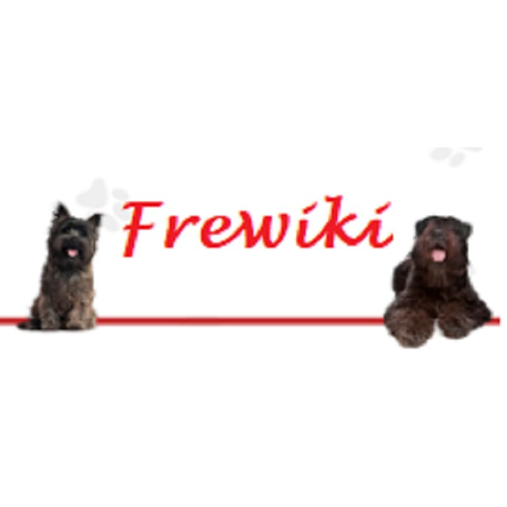 Evcil hayvan kuaförleri Frewiki, Anvers, foto