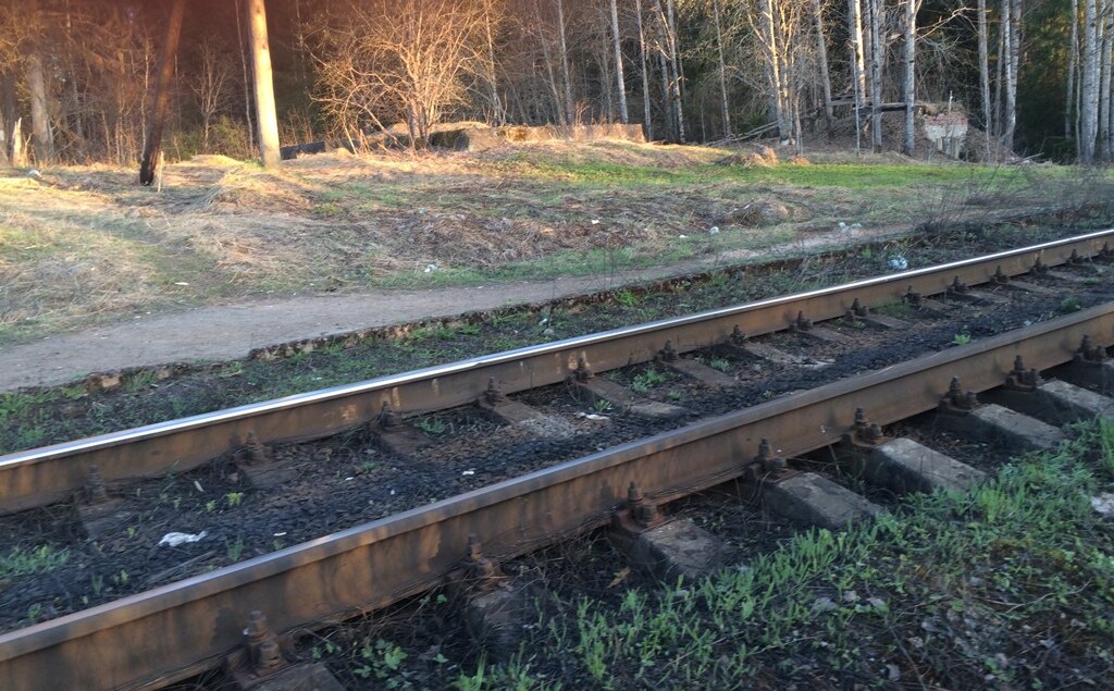 Tren istasyonu 199 kilometr Railway Stop, Karelya, foto