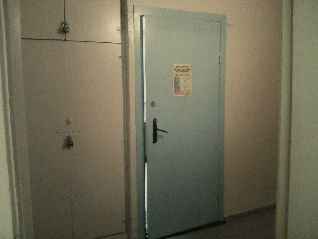 Bahçecilik dernekleri ve kuruluşları СНТ Урожай, Naberejniye Çelny (Yar Çallı), foto